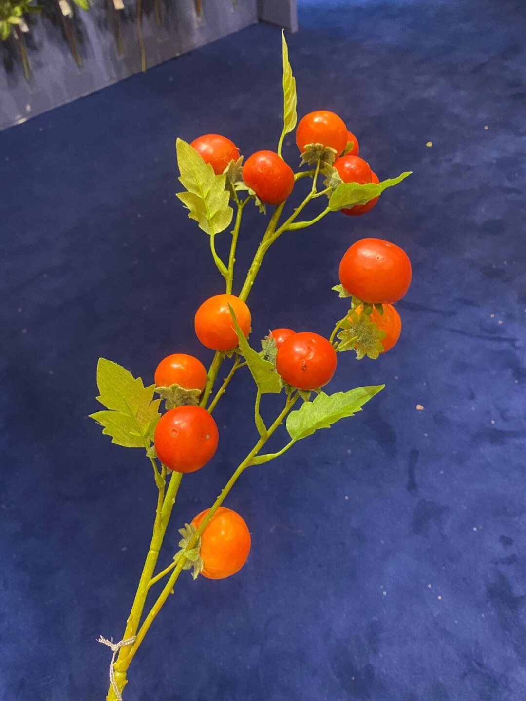 NEW Premium Quality Red Tomato Plant, Home Decor, Restaurant Decoration ...