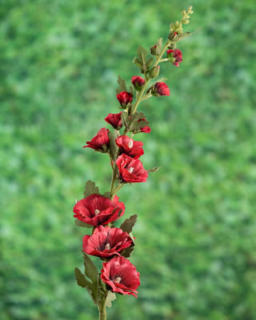Artificial Red Hollyhock, Red Hollyhock Stem, Faux Hollyhocks, Silk ...