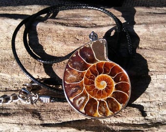 Ammonite jewelry | Etsy