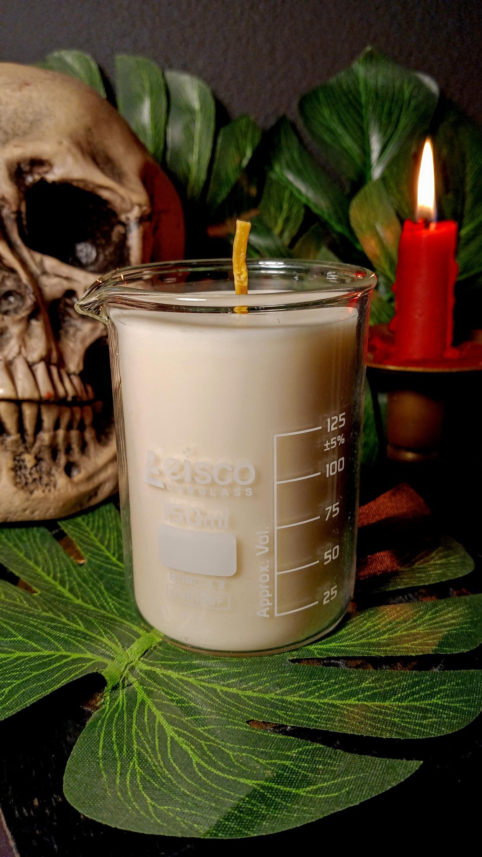 Beaker Candles, Science Gifts, Gifts for Geeks, Science Fiction Candles ...