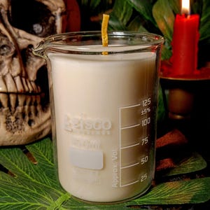 Beaker Candles, Science Gifts, Gifts for Geeks, Science Fiction Candles ...