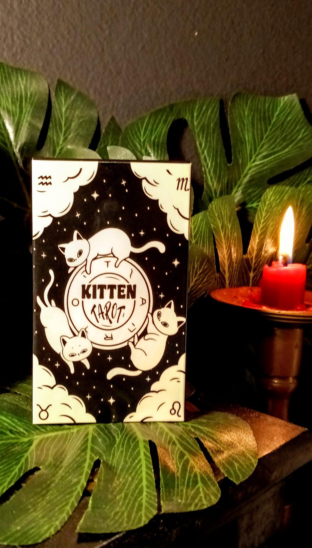 Kitten Tarot Deck, 78 Card Tarot Deck, Black and White Tarot, Kitty ...