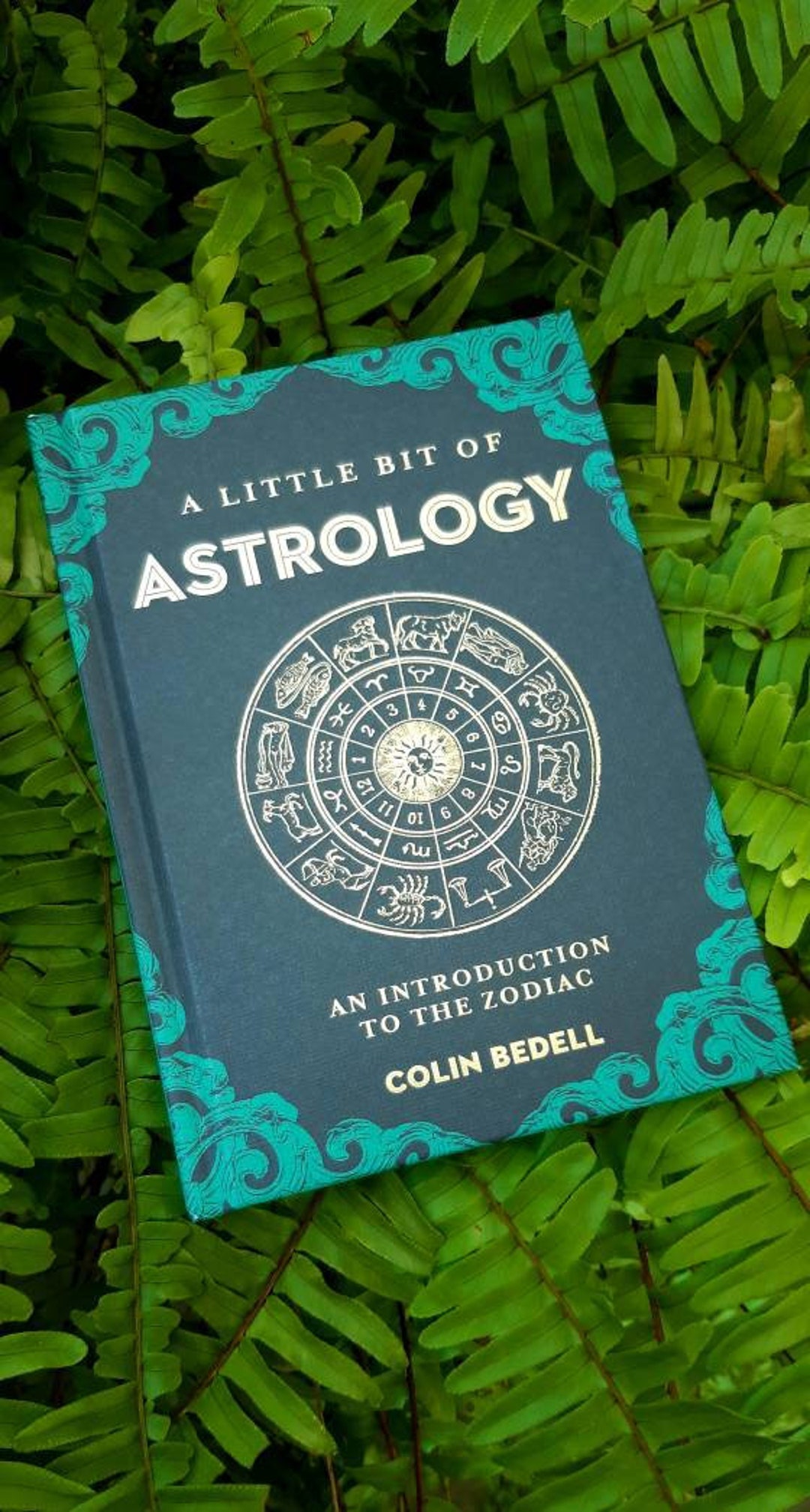 Beginners Astrology Guide, Zodiac for Beginners, Zodiac Guidebook ...