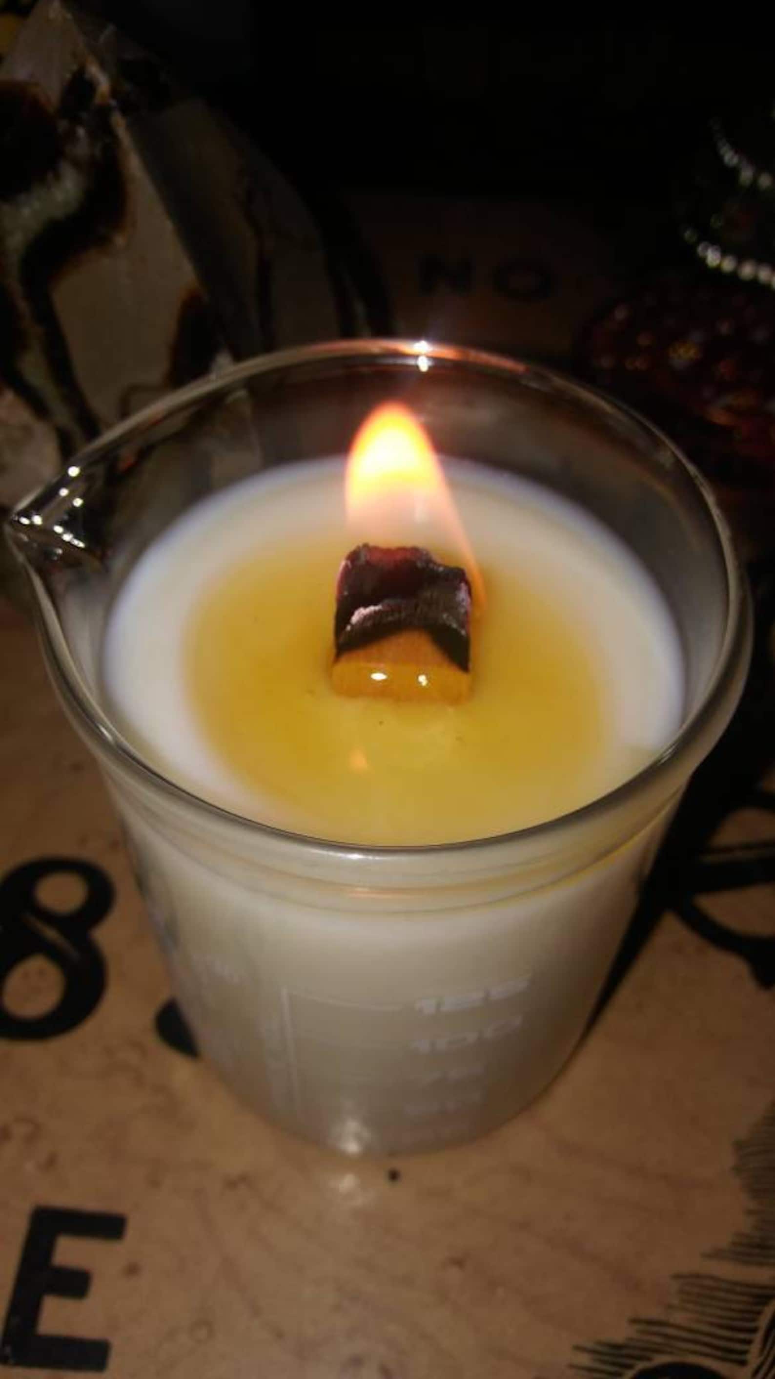 Beaker Candles, Science Gifts, Gifts for Geeks, Science Fiction Candles ...