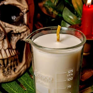 Beaker Candles, Science Gifts, Gifts for Geeks, Science Fiction Candles ...