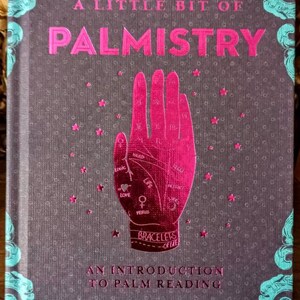 Little Bit of Palmistry, Palm Reading Book, Palm Reading Guide ...