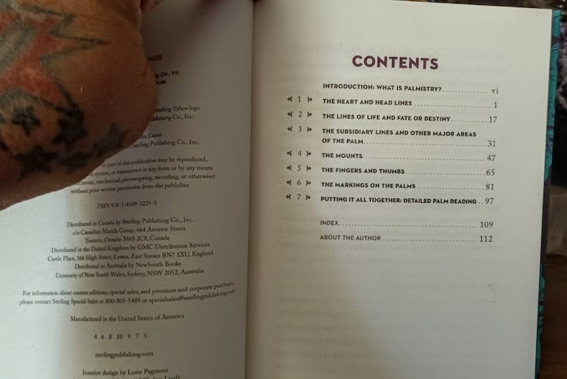 Little Bit of Palmistry Palm Reading Book Palm Reading - Etsy