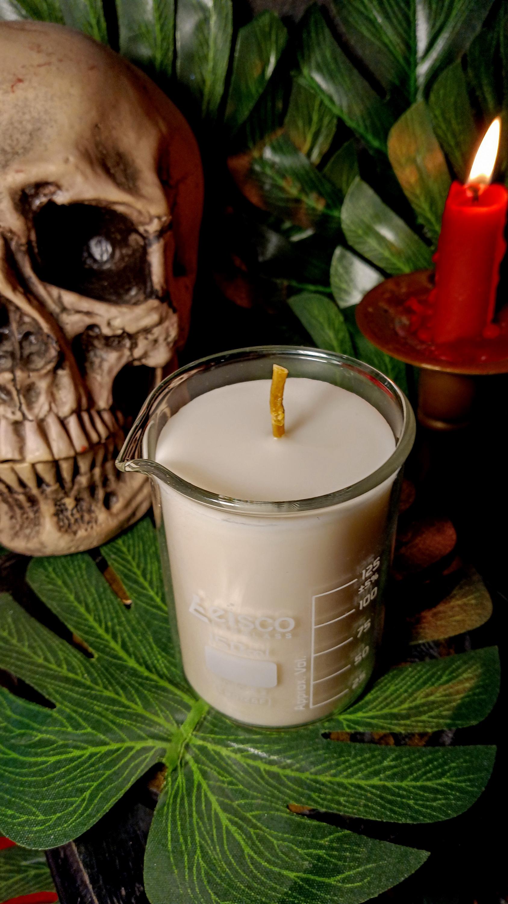Beaker Candles, Science Gifts, Gifts for Geeks, Science Fiction Candles ...