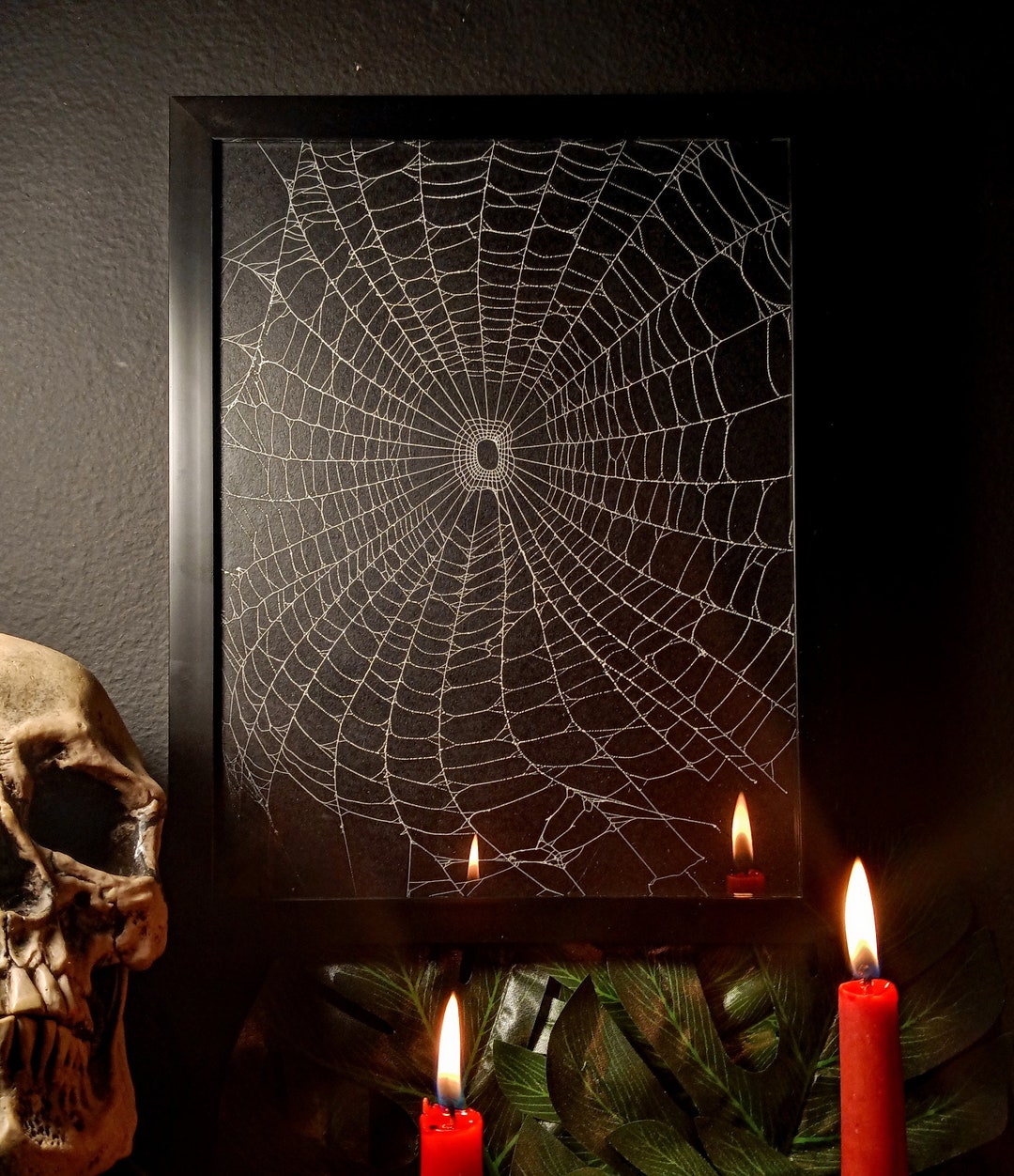 Preserved Spiderweb, Orb Weaver Spiderweb, Framed Spiderweb, Gothic ...