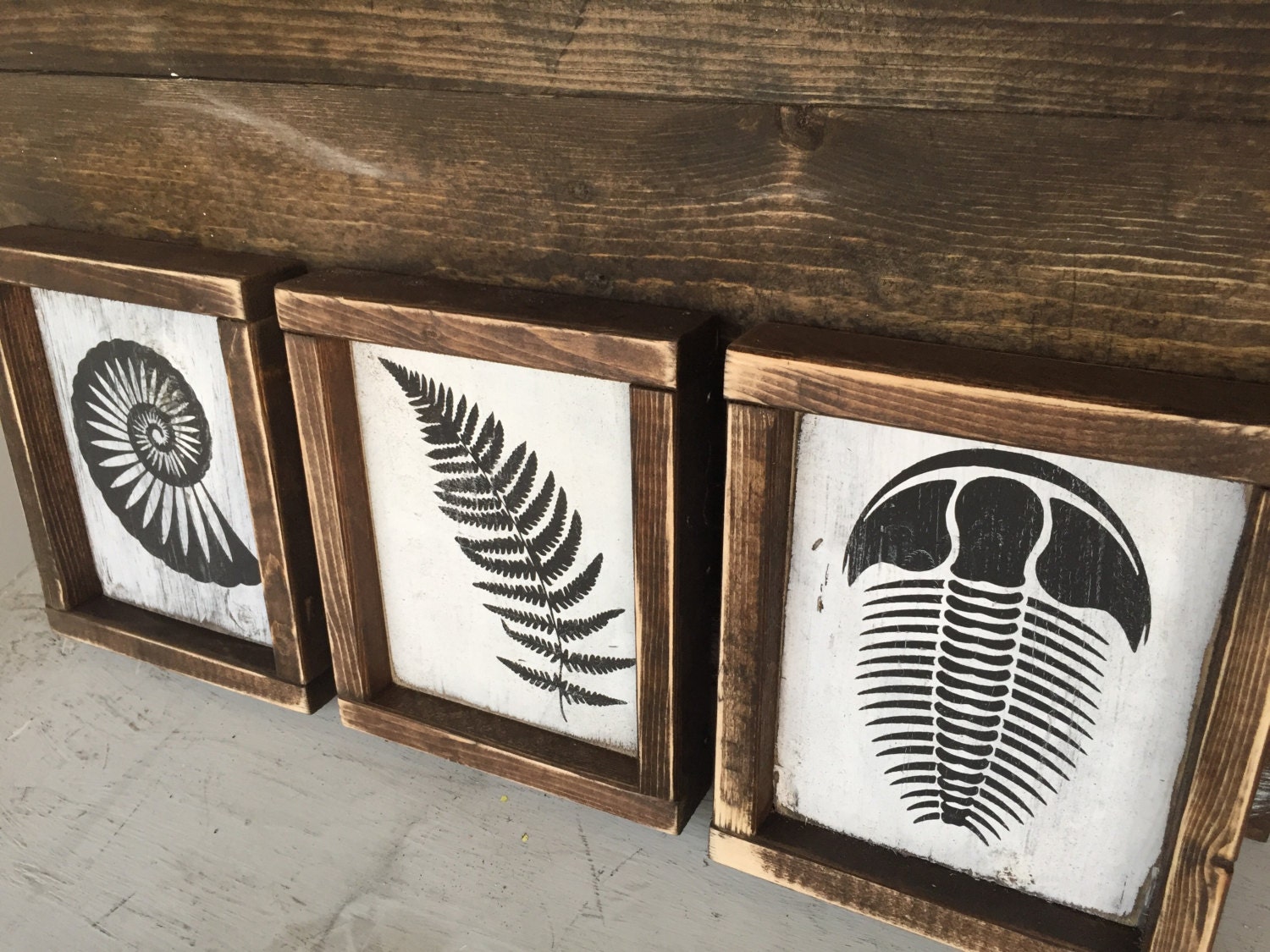 Wooden Signs / Fossil / Vintage Decor / Retro Decor / Wall - Etsy