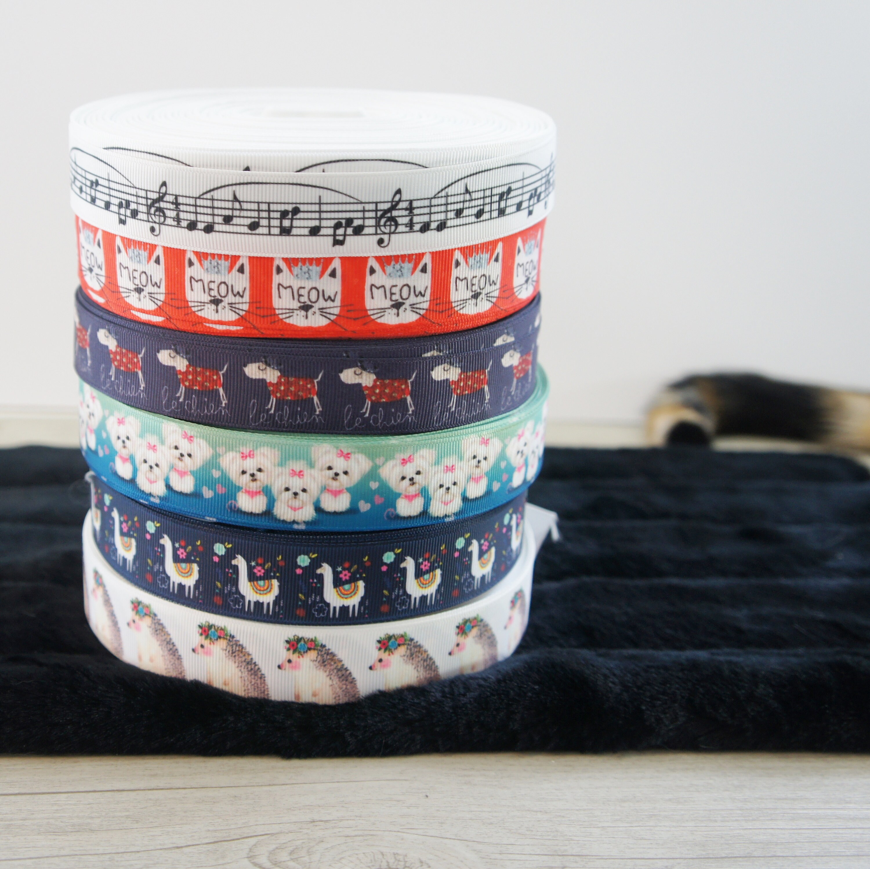 OUTER SPACE 25 Mm Ribbon 5 Yards Astronaut Ribbon Cartoon - Etsy Canada