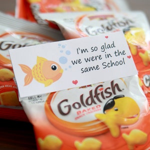 Printable End of School Year Tag - Instant Download - Digital PDF ...