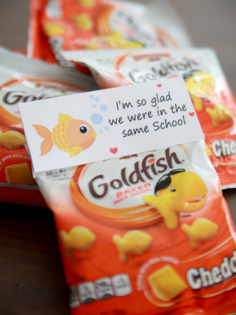 Printable End of School Year Tag - Instant Download - Digital PDF ...