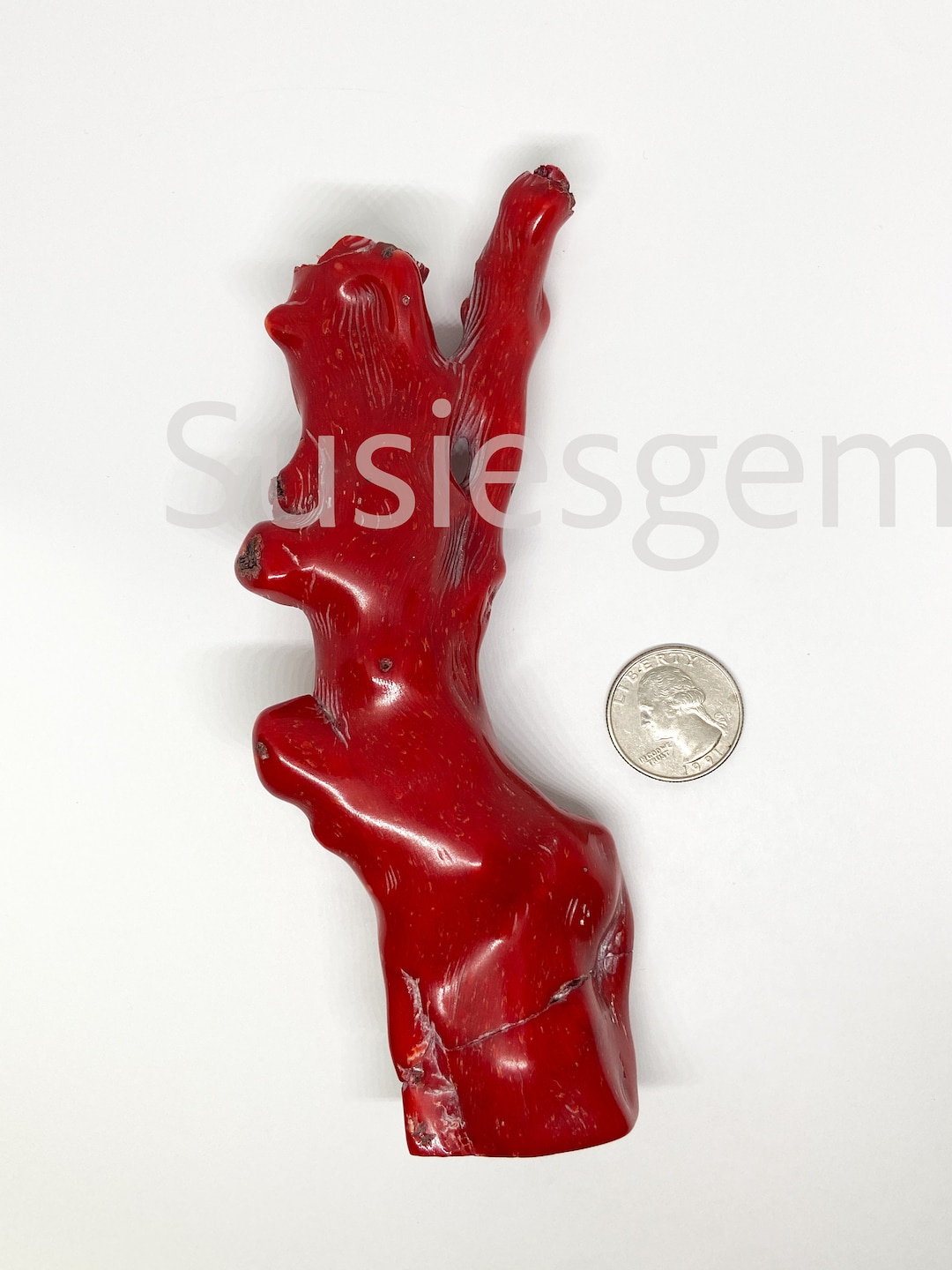 Chunky Dyed Red Coral Branch Specimen. Unique Large Red Coral Branch ...