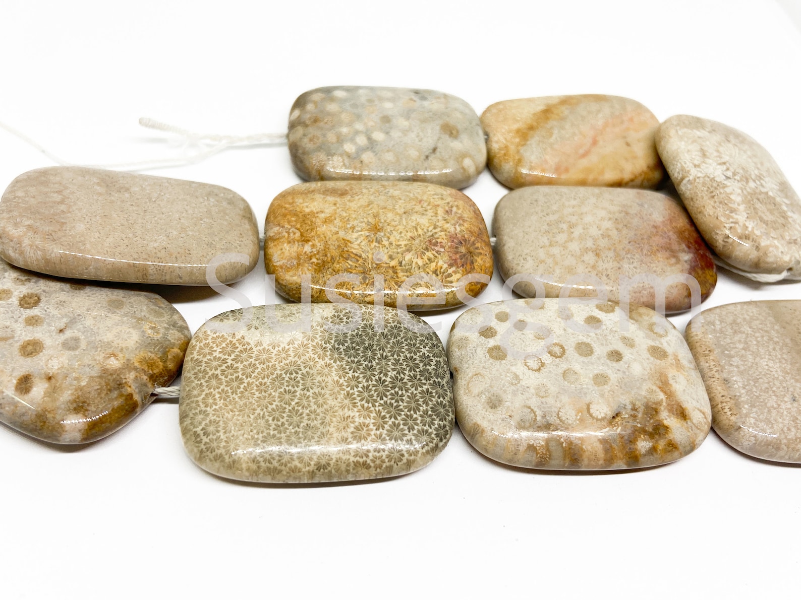 Natural Coral Fossil Rectangle Beads 30x40mm, Petrified Fossil Coral ...