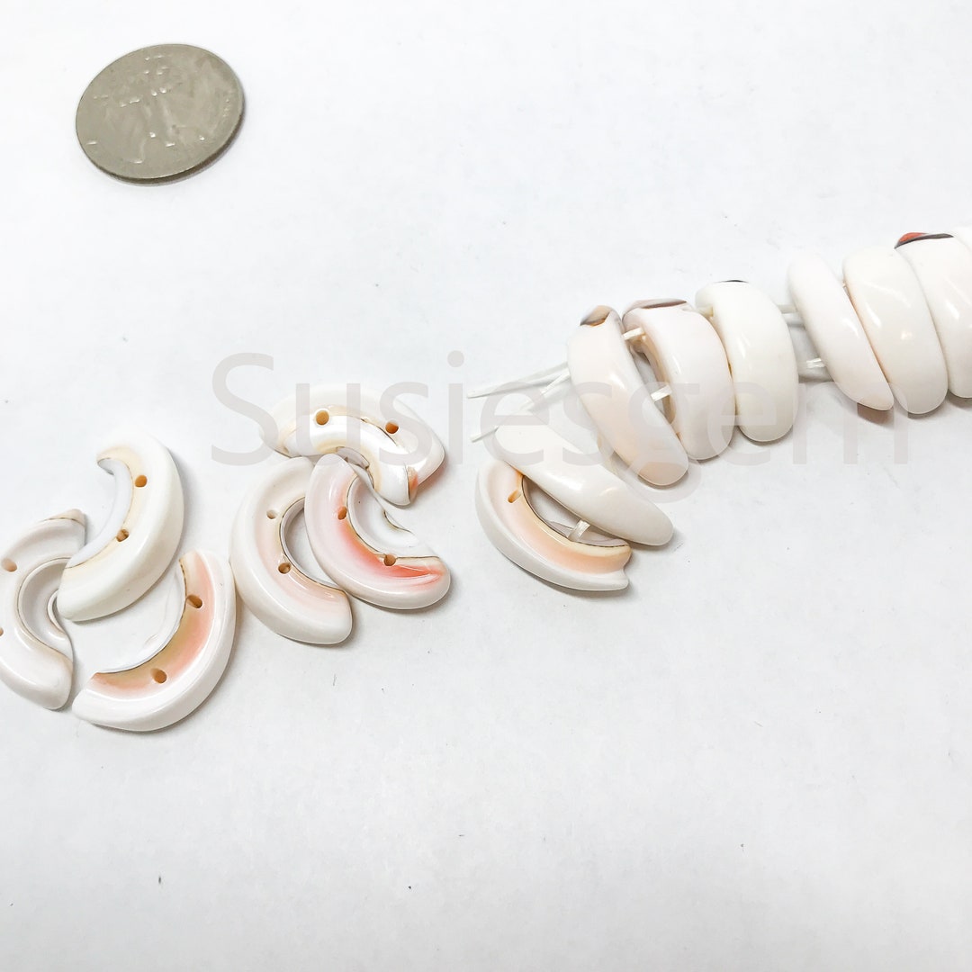 Cream Conch Shell Beads. Natural Light Pink Shell Beads 8x20mm. Double ...