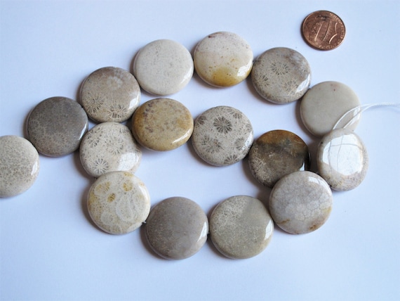 Natural Coral Fossil Coin Beads 25mm Petrified Fossil Coral Beads Natural Gemstone. Focal Beads. Etsy Ireland