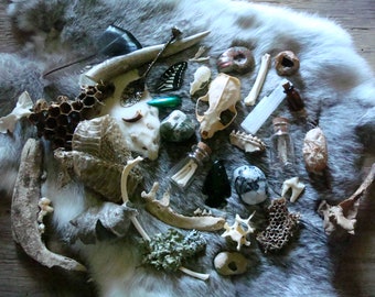 Curiosities Mystery Box, Curio Cabinet Starter Collection, Oddities and ...