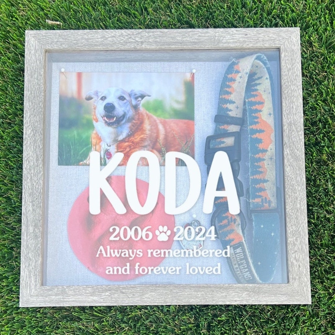 Custom Memorial Pet Shadowbox Dog Memory Box Cat Personalized Frame ...