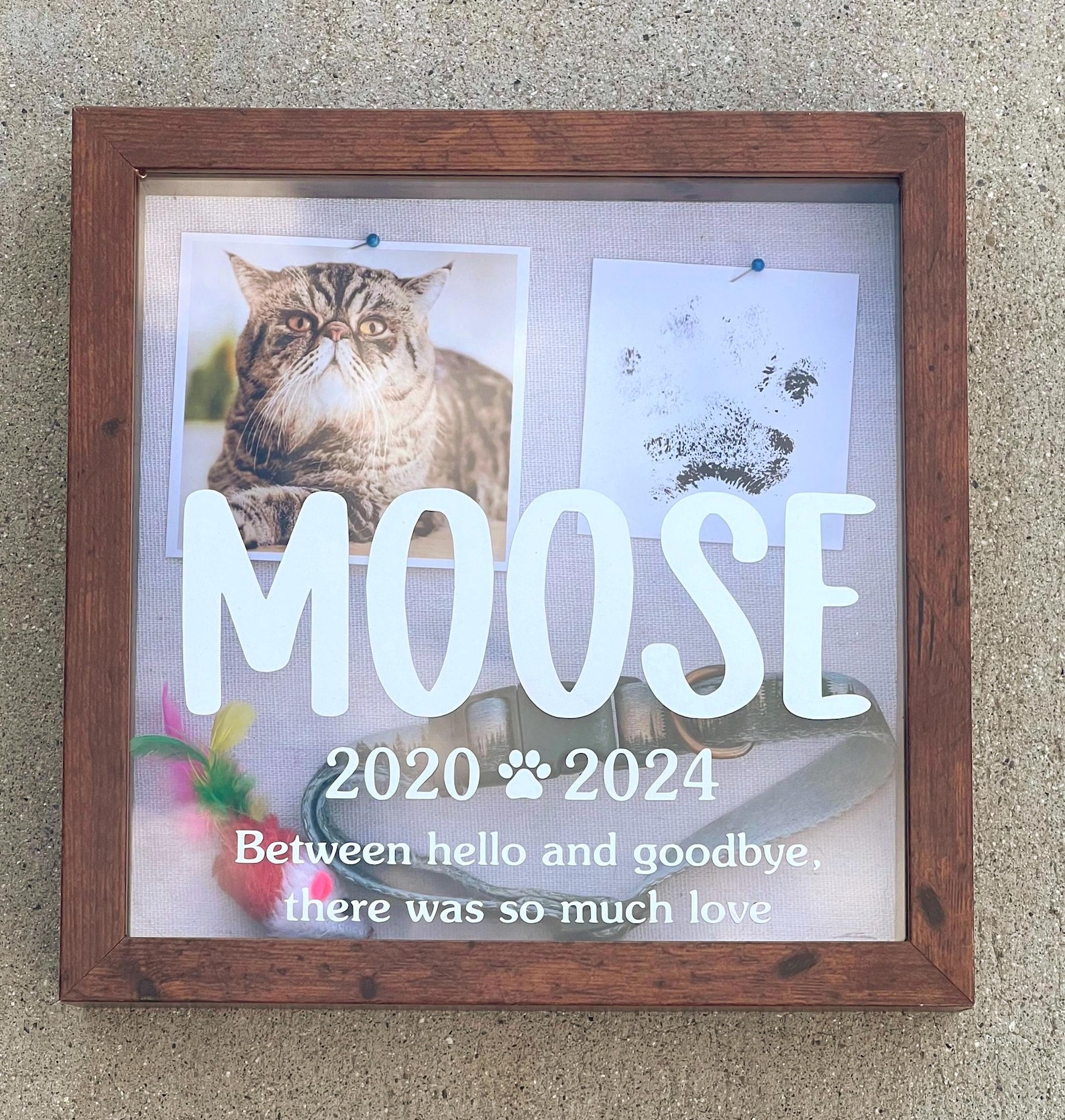 Cat Memorial Shadowbox Custom Pet Memory Box Kitty Personalized Frame ...