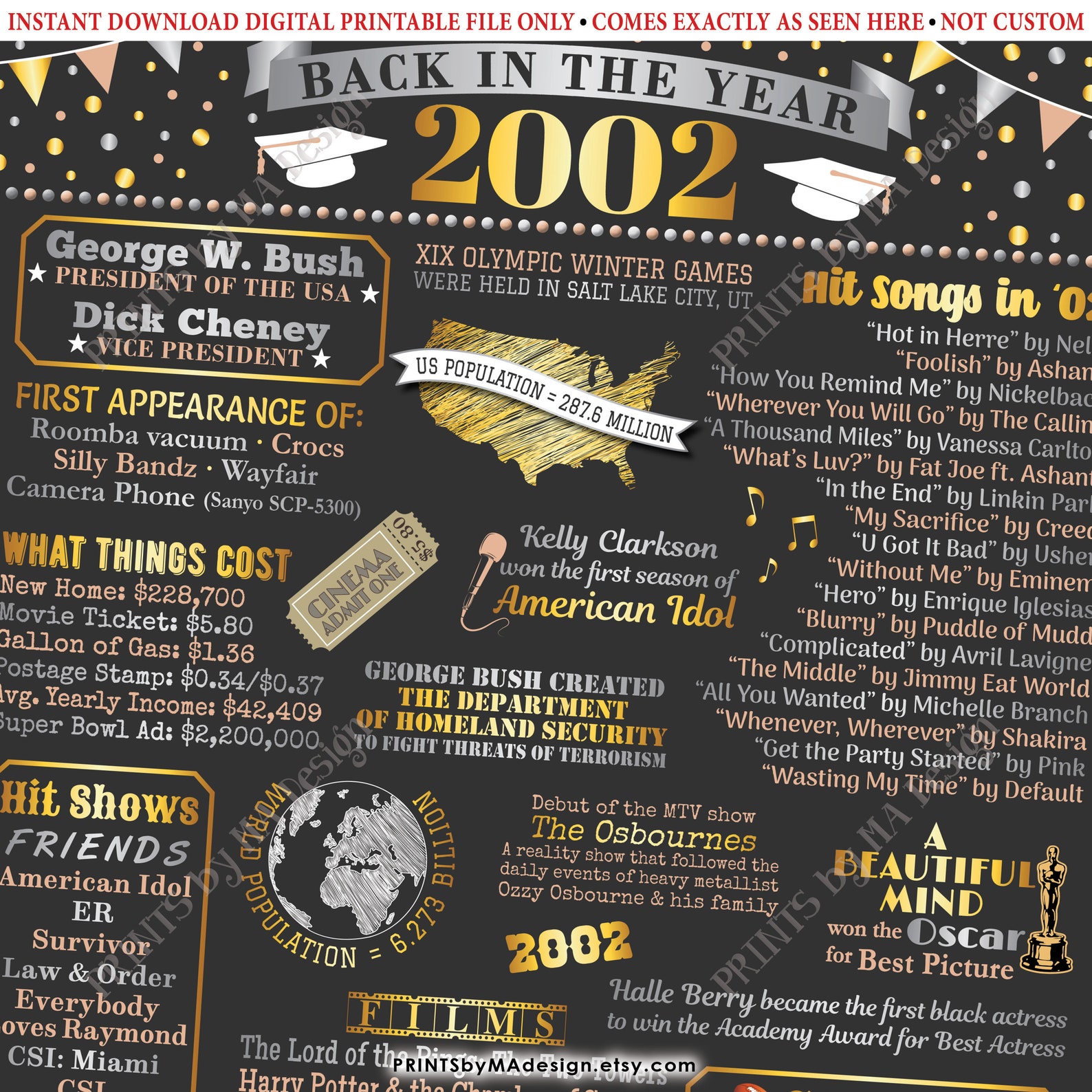 Class of 2002 Reunion Decoration Back in the Year 2002 Poster - Etsy