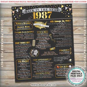 Back in the Year 1987 Poster Board, Remember 1987 Sign, Flashback to ...