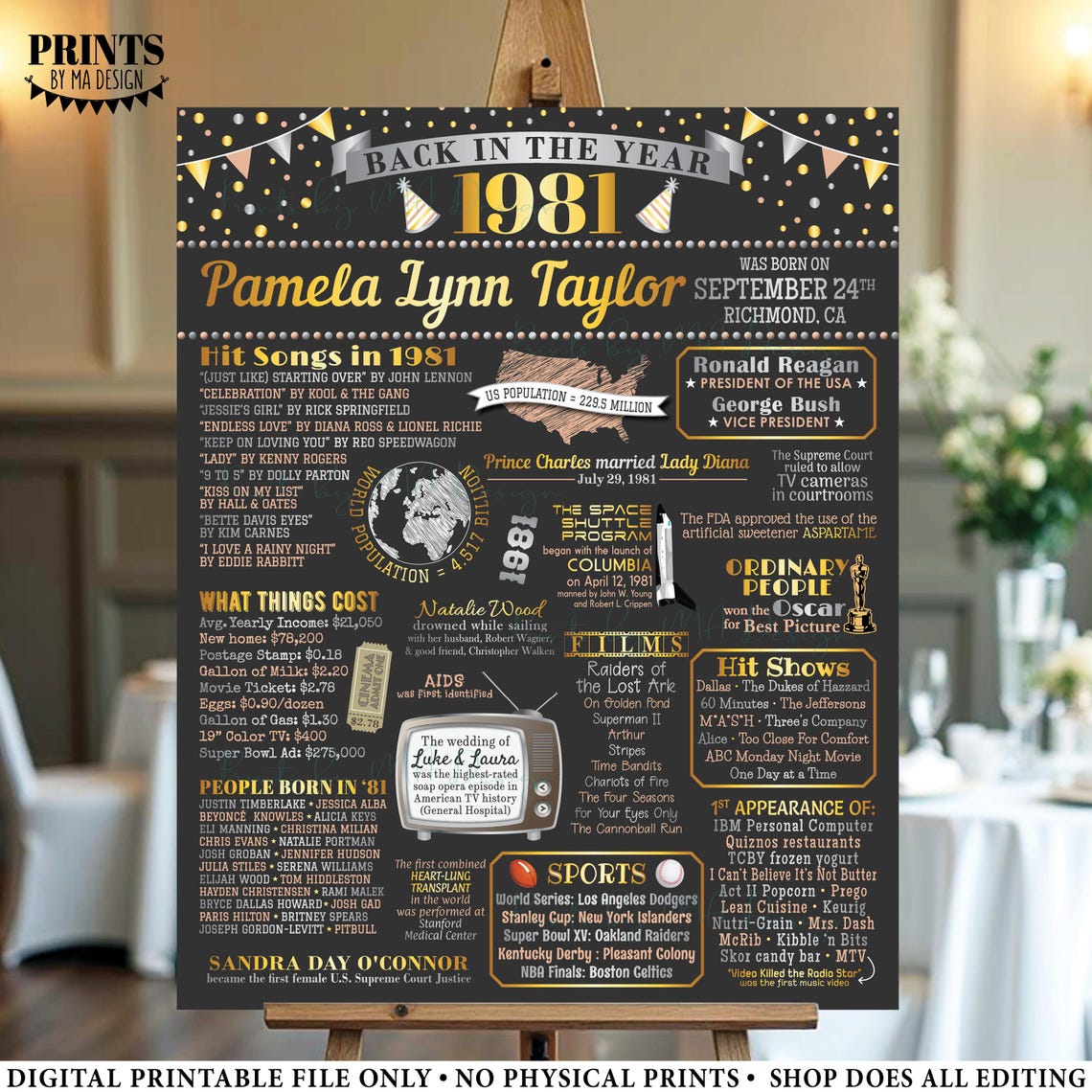 Back in the Year 1981 Birthday Sign, Flashback to 1981 Poster Board ...