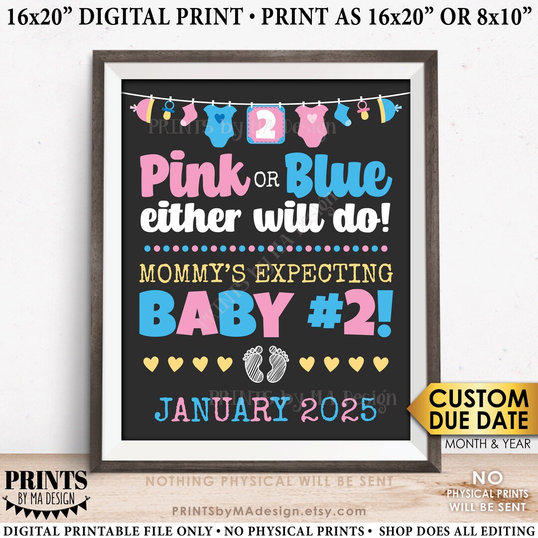 Baby Number 2 Pregnancy Announcement, Pink or Blue Baby Either Will Do ...