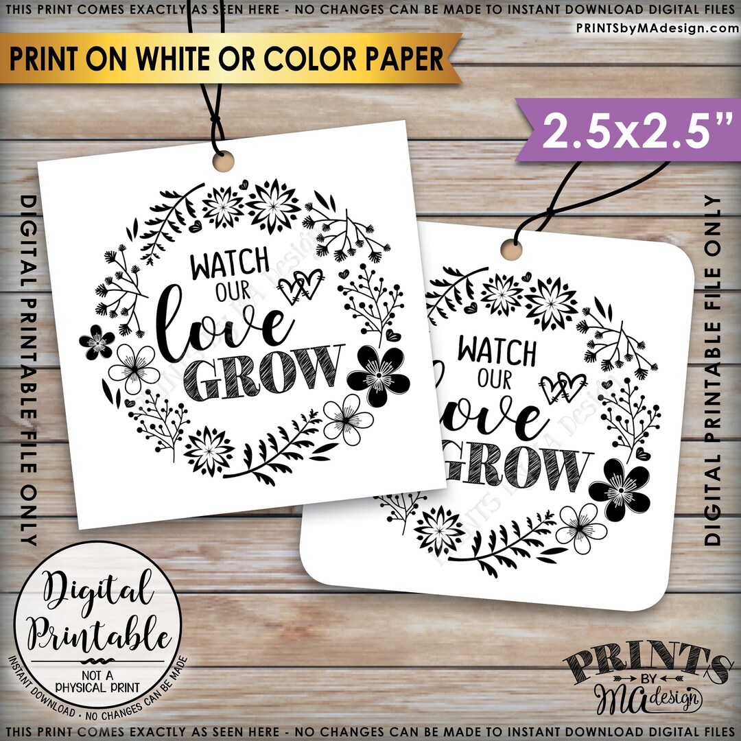 Watch Our Love Grow Tags, Wedding Tags, Succulents Plant Seeds Saplings ...
