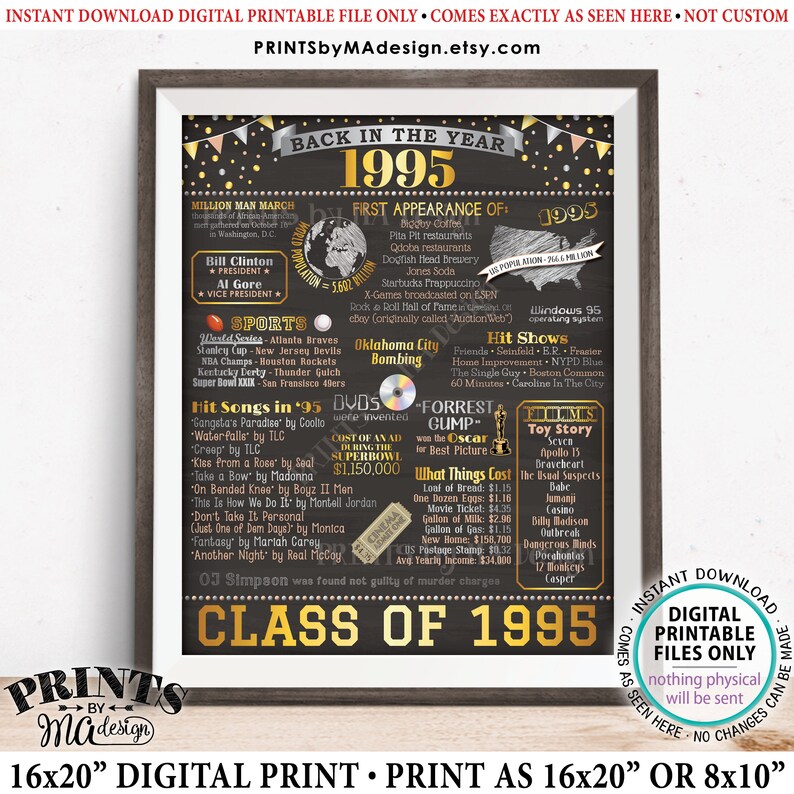 Class of 1995 Reunion Decoration Back in the Year 1995 Poster - Etsy