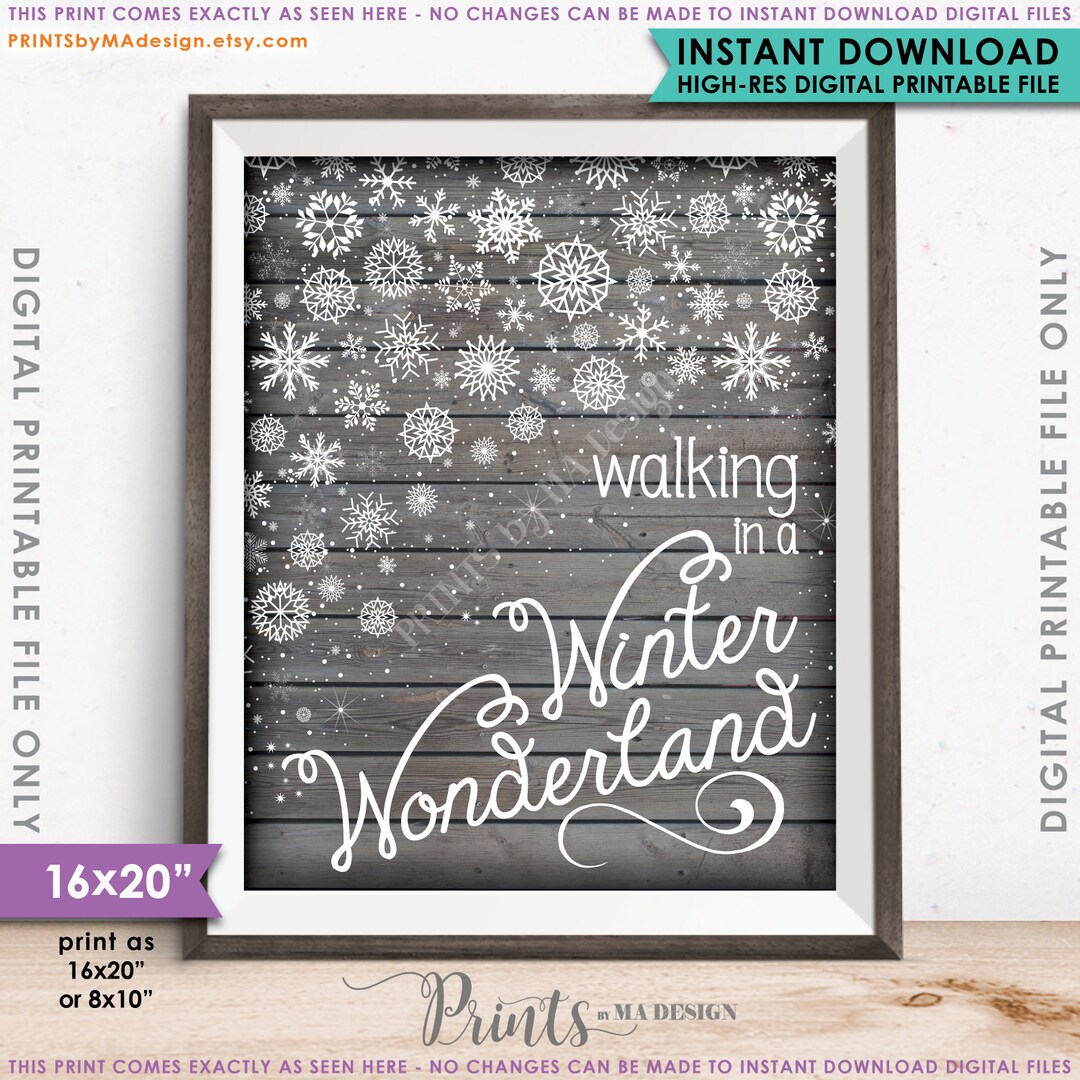 Walking in a Winter Wonderland Christmas Decoration Snowflakes Snow ...