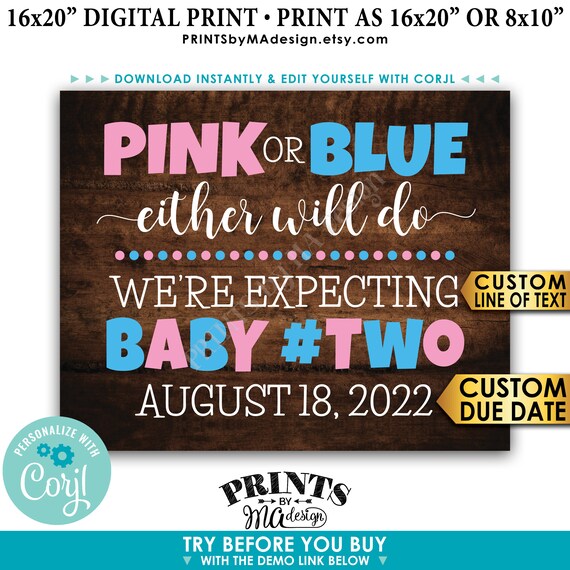 Baby Number 2 Pregnancy Announcement Pink or Blue Either Will | Etsy