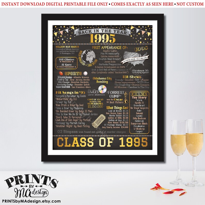 Class of 1995 Reunion Decoration Back in the Year 1995 Poster - Etsy