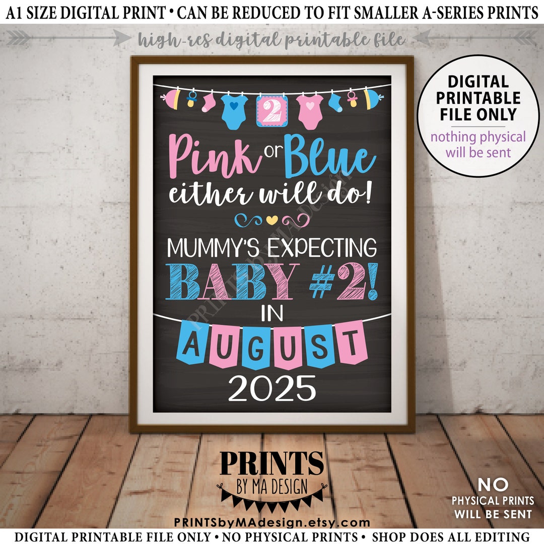 Baby Number 2 Pregnancy Announcement, Pink or Blue Baby Either Will Do ...