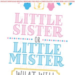 Gender Reveal Party Sign or Card, Little Mister or Little Sister, Boy ...