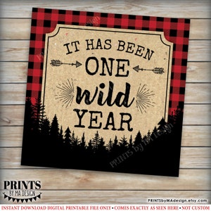 It Has Been One Wild Year Lumberjack First Birthday Party Decor, Red ...