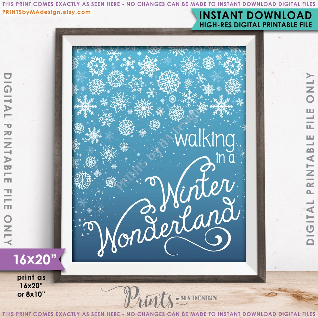 Walking in a Winter Wonderland Christmas Decoration Snowflakes Snow ...