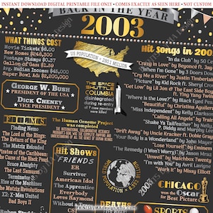 Back in the Year 2003 Birthday Sign Flashback to 2003 Poster | Etsy