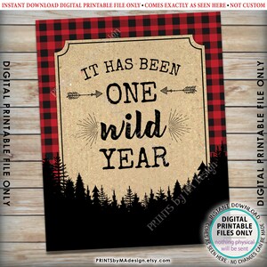 It Has Been One Wild Year Lumberjack First Birthday Party Decor ...
