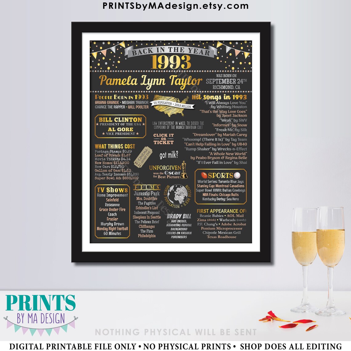 Back in the Year 1993 Birthday Sign, Flashback to 1993 Poster Board ...