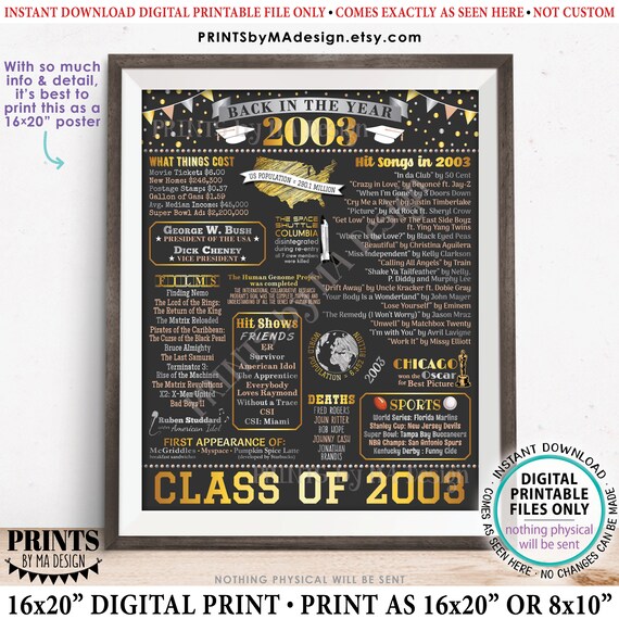 Class of 2003 Reunion Decoration Back in the Year 2003 Poster | Etsy
