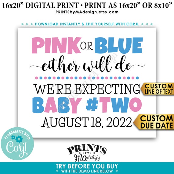 Baby Number 2 Pregnancy Announcement Pink or Blue Either Will | Etsy