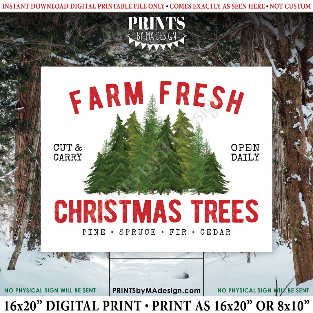 Christmas Trees Sign, Farm Fresh Christmas Trees, Winter Wall ...