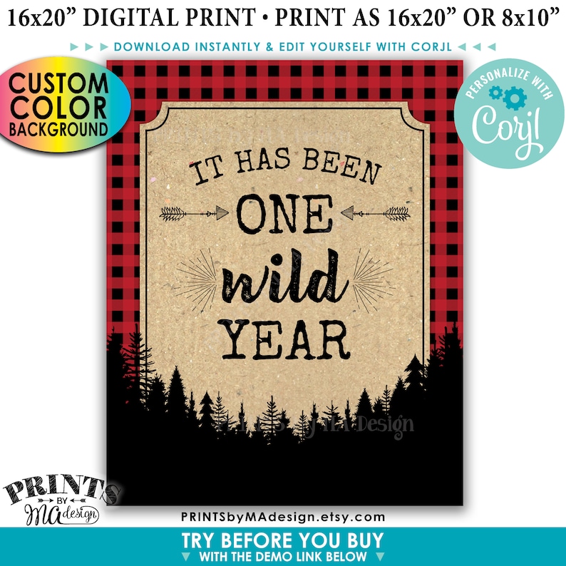It Has Been One Wild Year Lumberjack First Birthday Party | Etsy