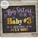Baby 3 Pregnancy Announcement, Big Sisters to 3rd Baby Number 3 Photo ...