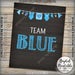 Gender Reveal Signs, Team Pink and Team Blue, Gender Reveal Teams, Pink ...