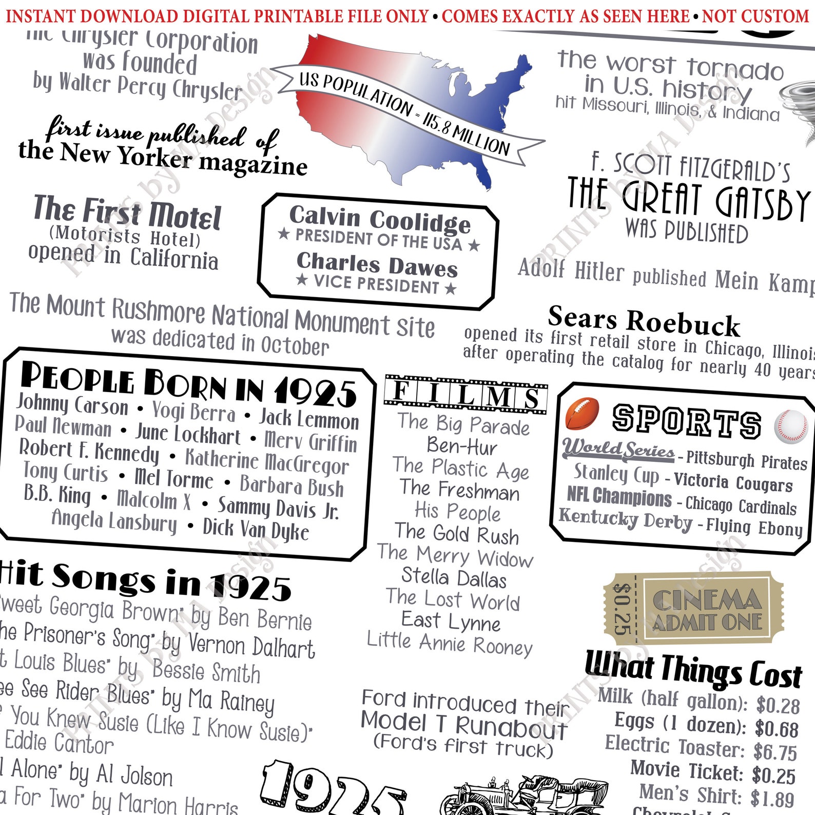 Born in the Year 1925 Flashback Poster Back in 1925 Sign | Etsy