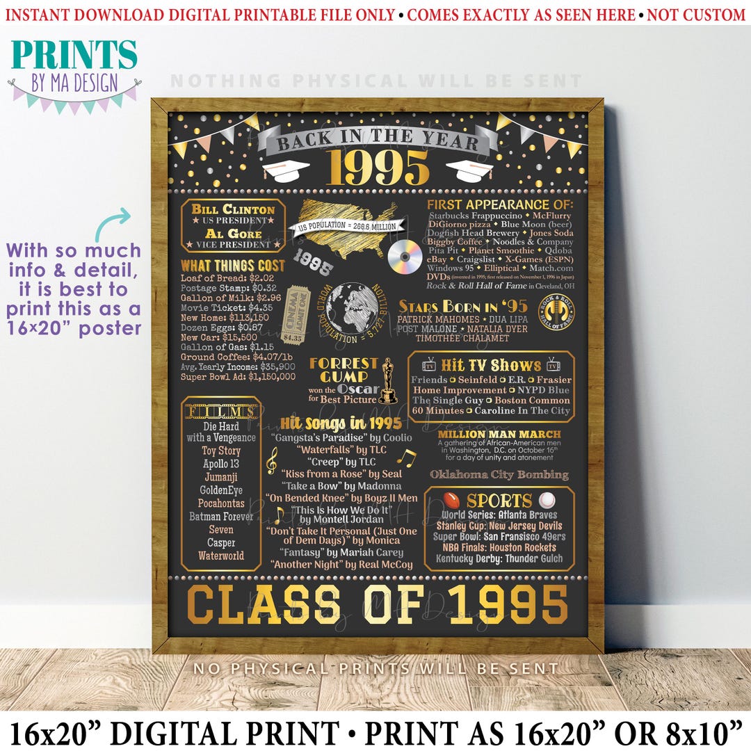Class of 1995 Reunion Decoration, Back in the Year 1995 Poster Board ...