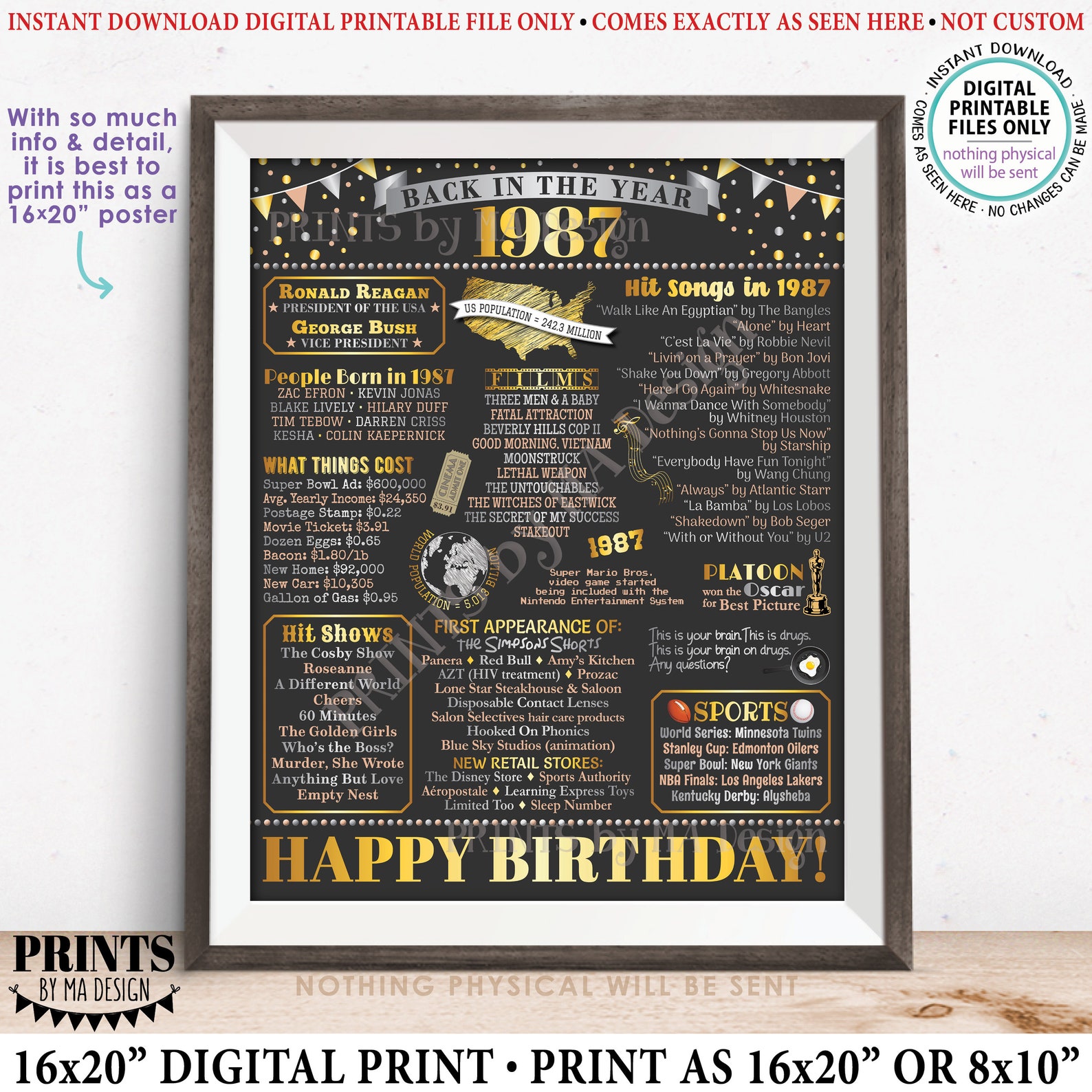 Back in the Year 1987 Birthday Sign Flashback to 1987 Poster | Etsy