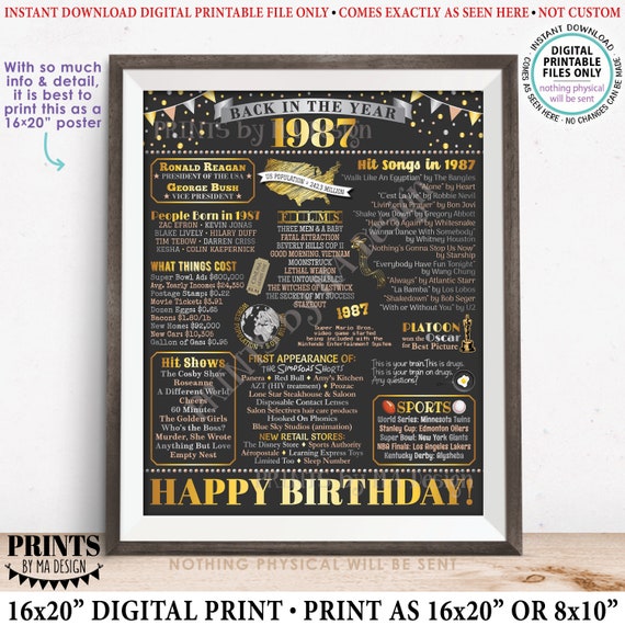 Back in the Year 1987 Birthday Sign Flashback to 1987 Poster | Etsy